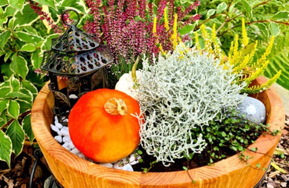 Say Hello to Fall With a Cornucopia Container Garden - Pleasant View ...
